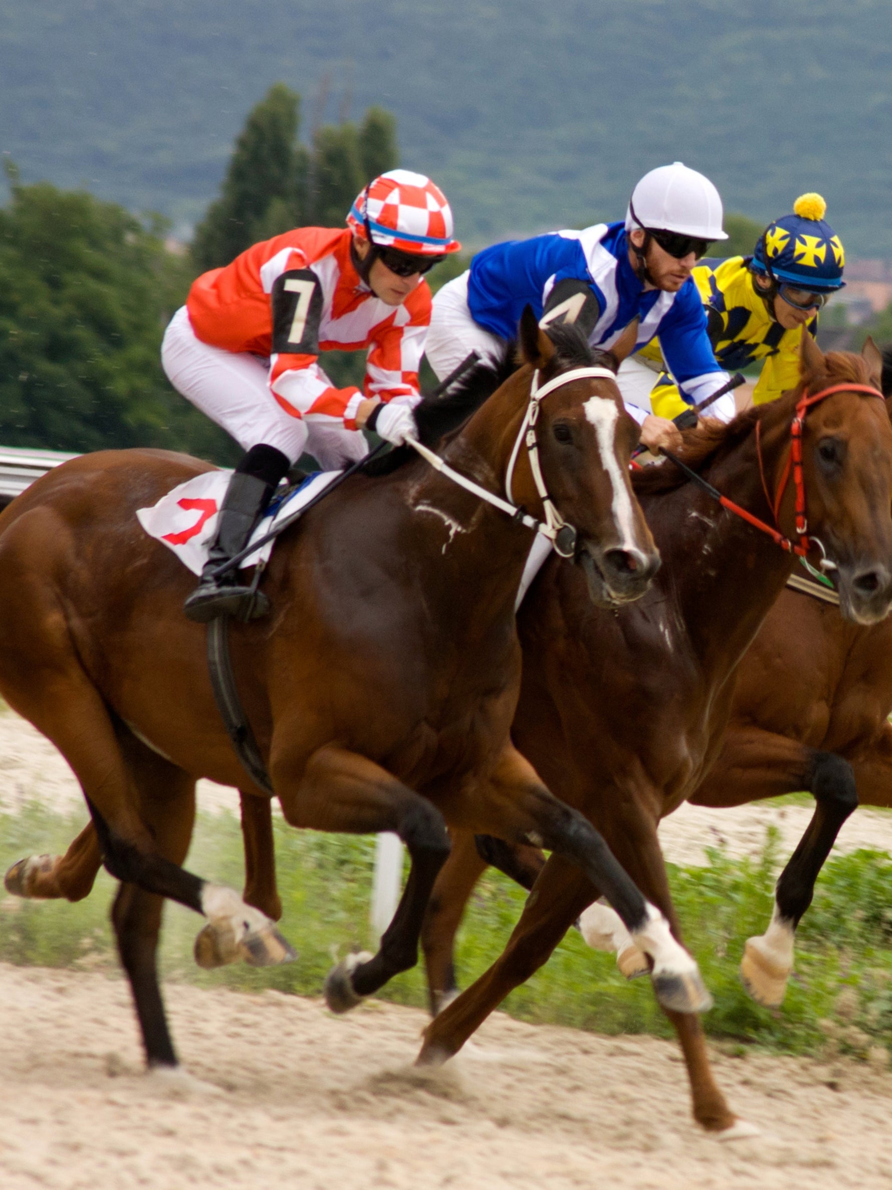 4 Main Types Of Horse Racing – Wild Jolie