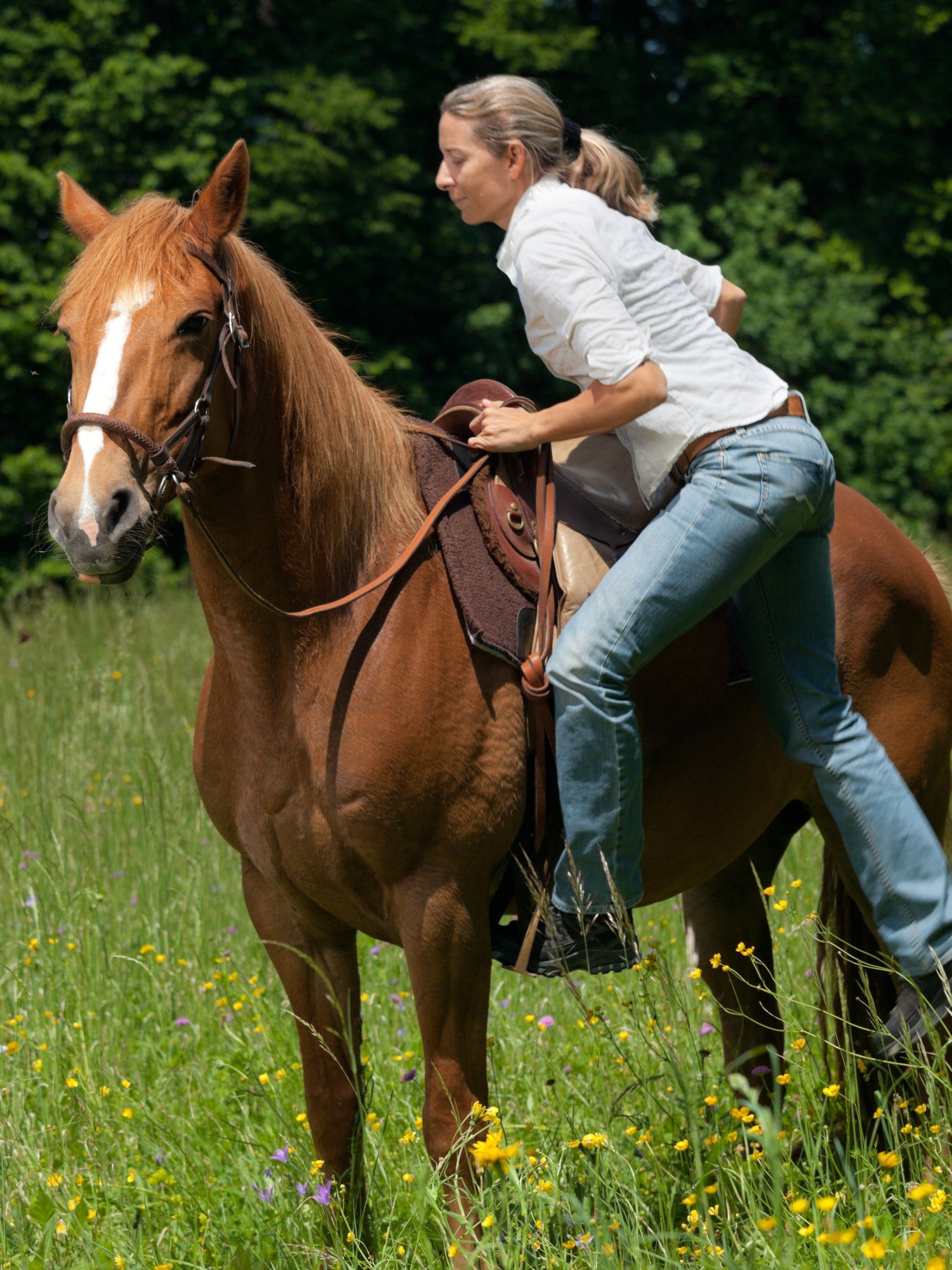 5 Easy Steps to Mount a Horse Safely – Wild Jolie