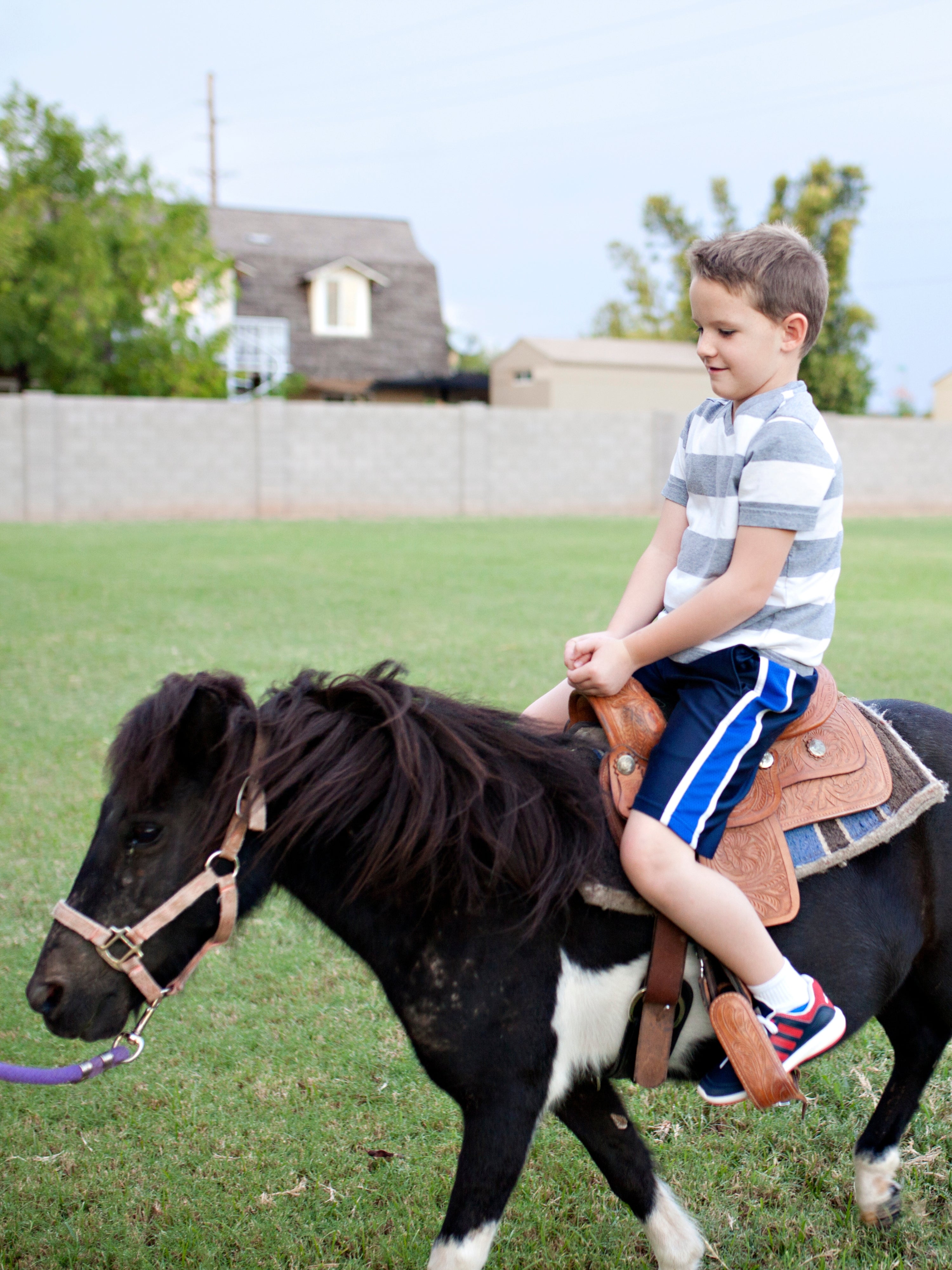 6 Easy Steps to Post On A Horse – Wild Jolie