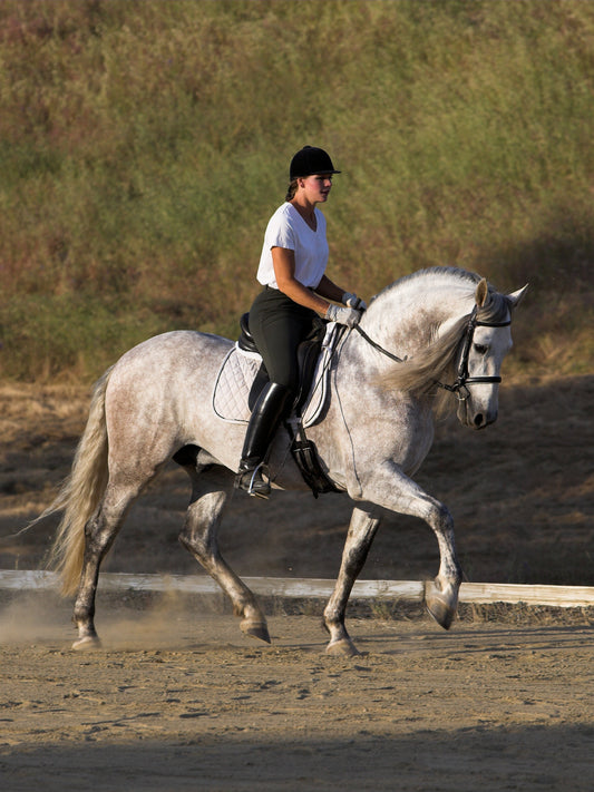 7 Easy Steps to Trot On A Horse – Wild Jolie