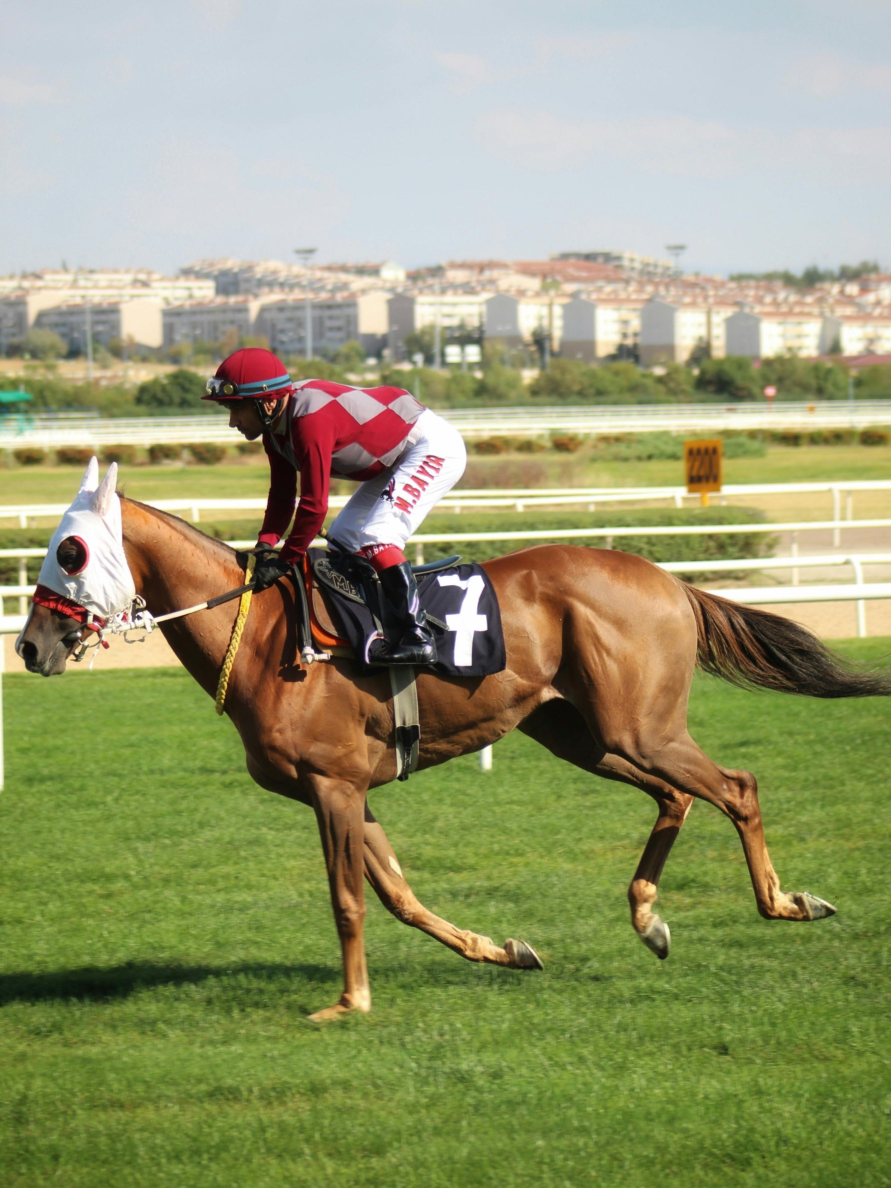 Average Jockey Height & Weight (Why Limit?) – Wild Jolie