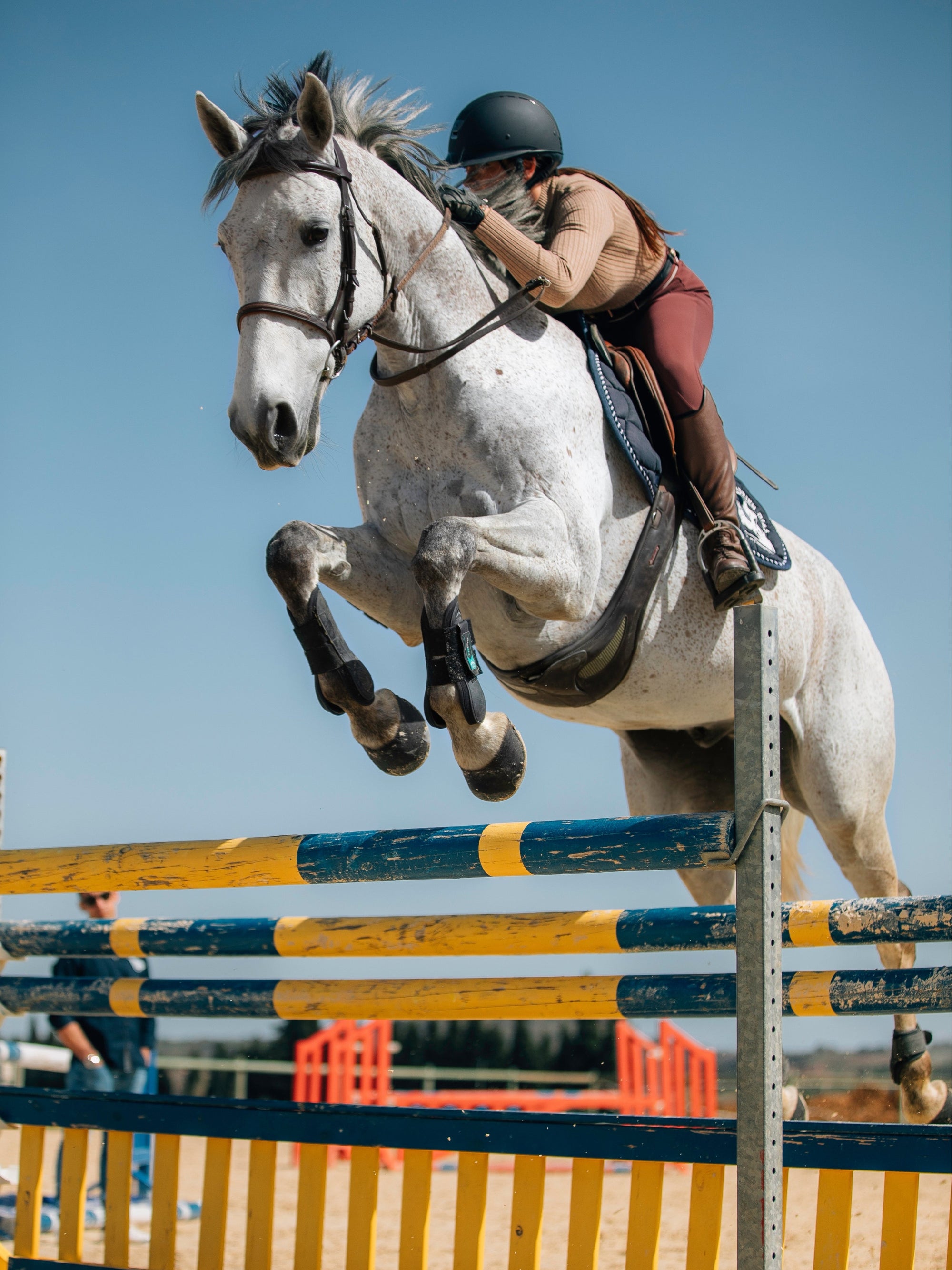 How High Can Horses Jump? (Affecting Factors & Records) – Wild Jolie