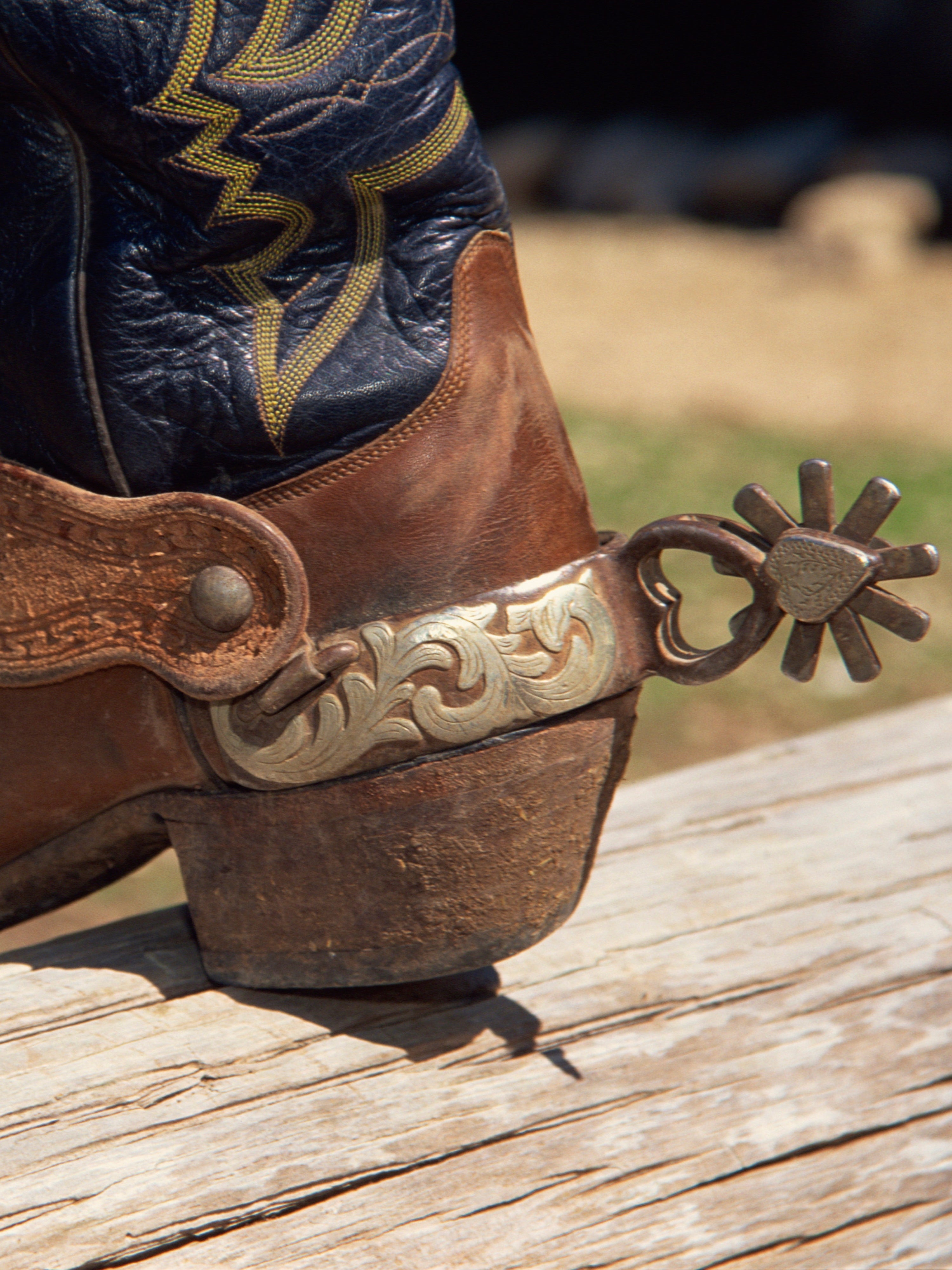 Why Do Cowboys Wear Spurs? (Types, Parts & Using Tips) – Wild Jolie